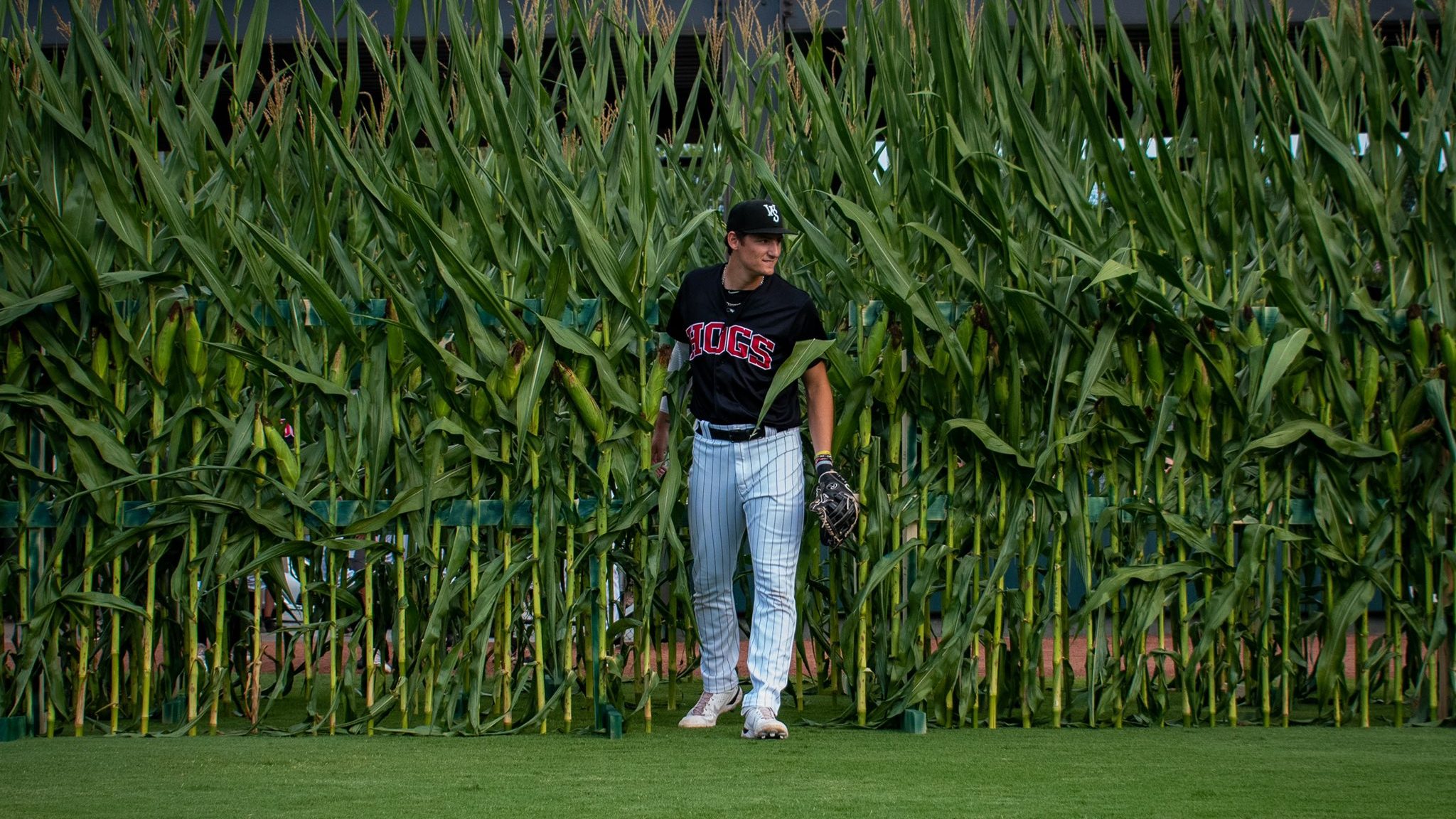 The Latest Chicago White Sox News | SportSpyder